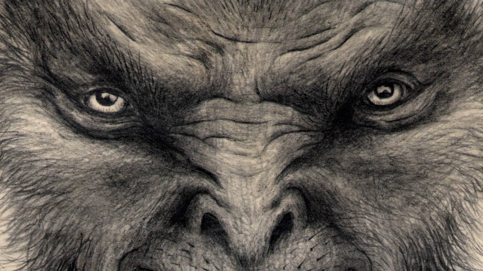 ‘Wolfman’s Got Nards’ Review: A Loving Documentary About ‘The Monster ...