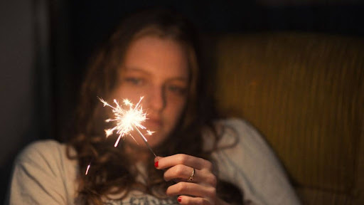 D’A Film Festival 2024 Dispatch & ‘Animals’ Review – Film Daze